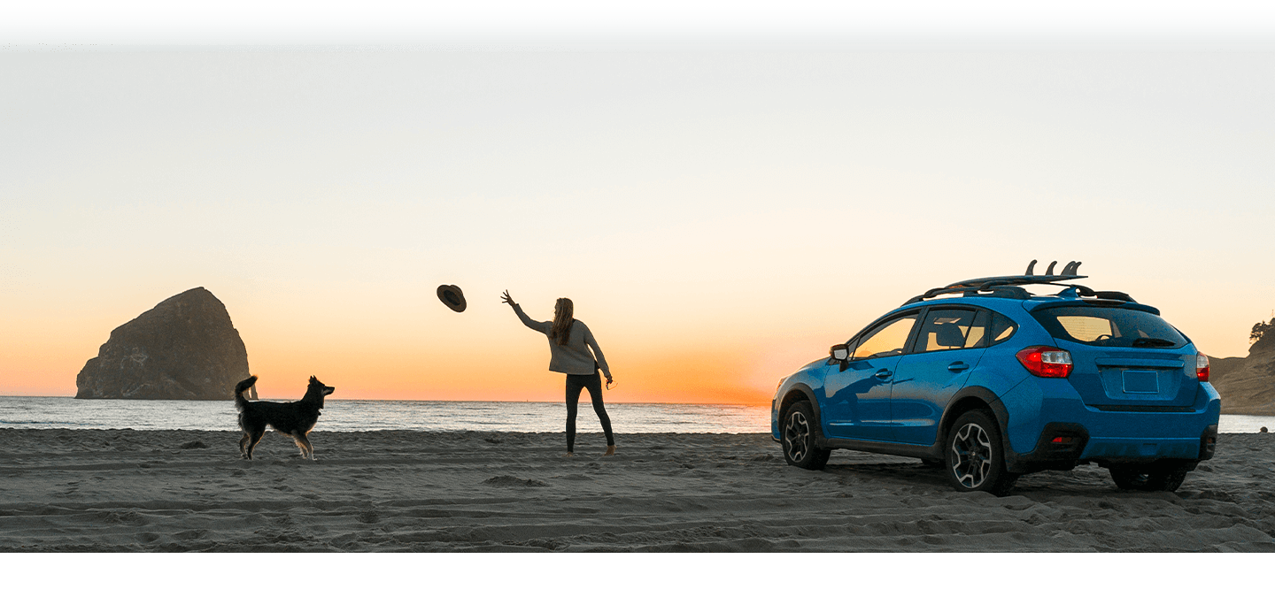 What Dog Owners Need to Consider When Car Shopping | CarMax