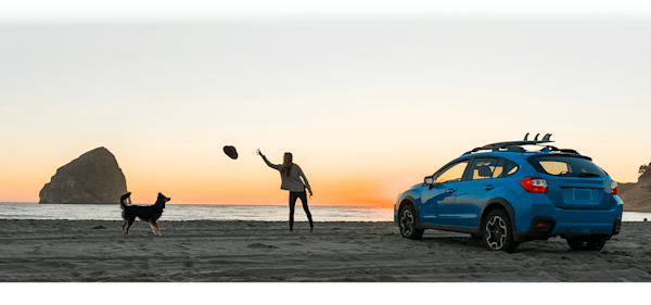 What Dog Owners Need to Consider When Car Shopping | CarMax