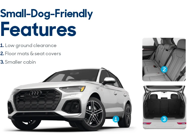 What Dog Owners Need to Consider When Car Shopping | CarMax