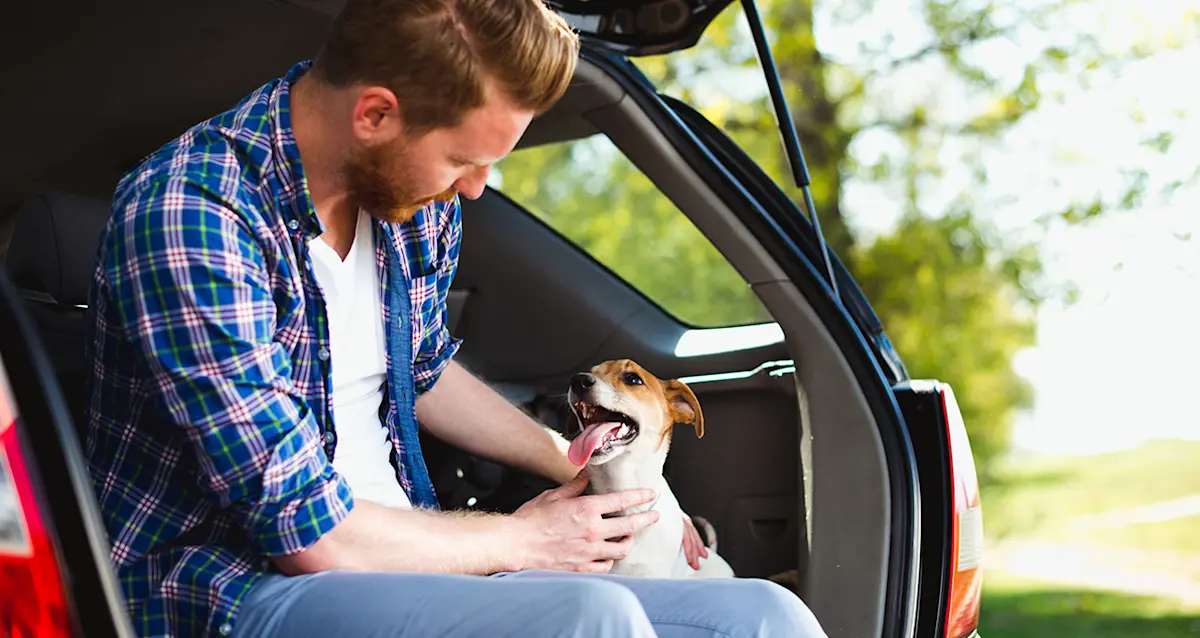 What Dog Owners Need to Consider When Car Shopping | CarMax