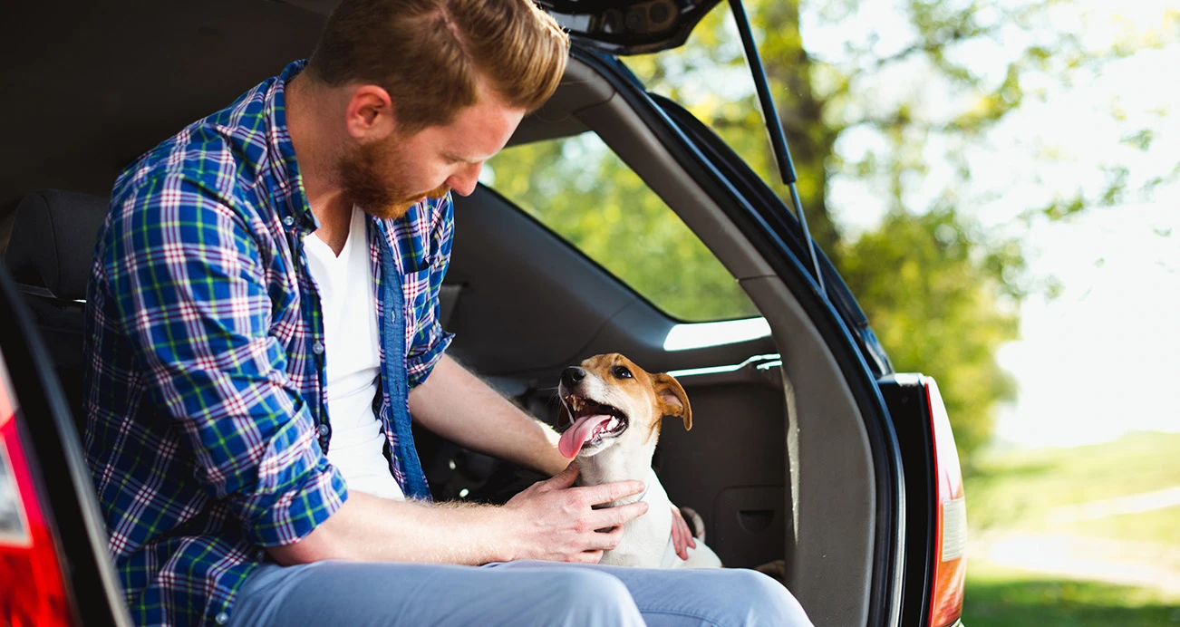 What Dog Owners Need to Consider When Car Shopping | CarMax