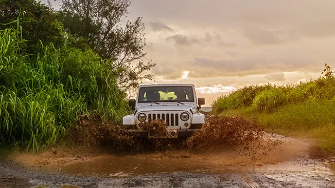 Hit the Trails with These 7 Used Truck and SUV Off-roaders | CarMax