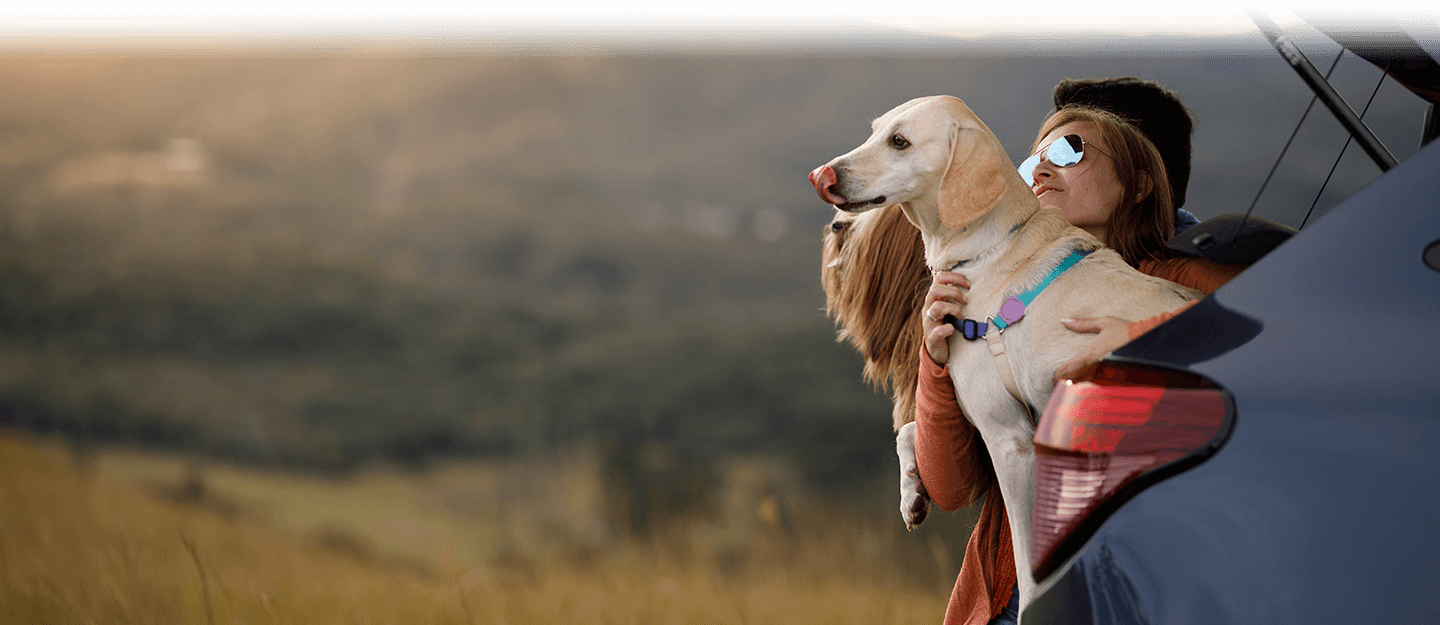 What Dog Owners Need to Consider When Car Shopping | CarMax