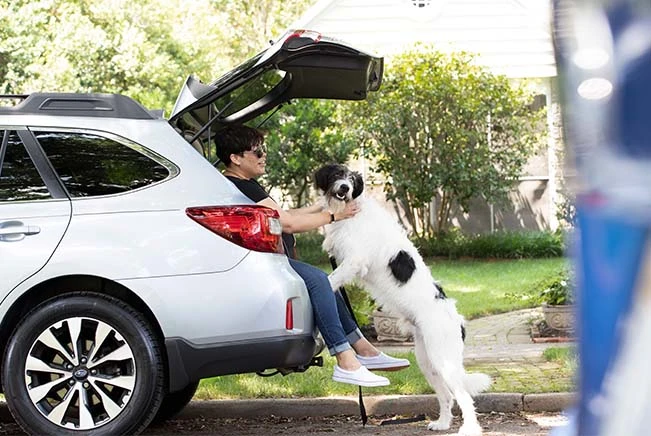 How to Test Drive a Car | CarMax