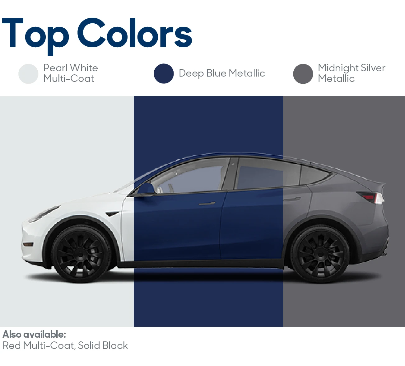 2020 Tesla Model Y review, photos & specs | CarMax